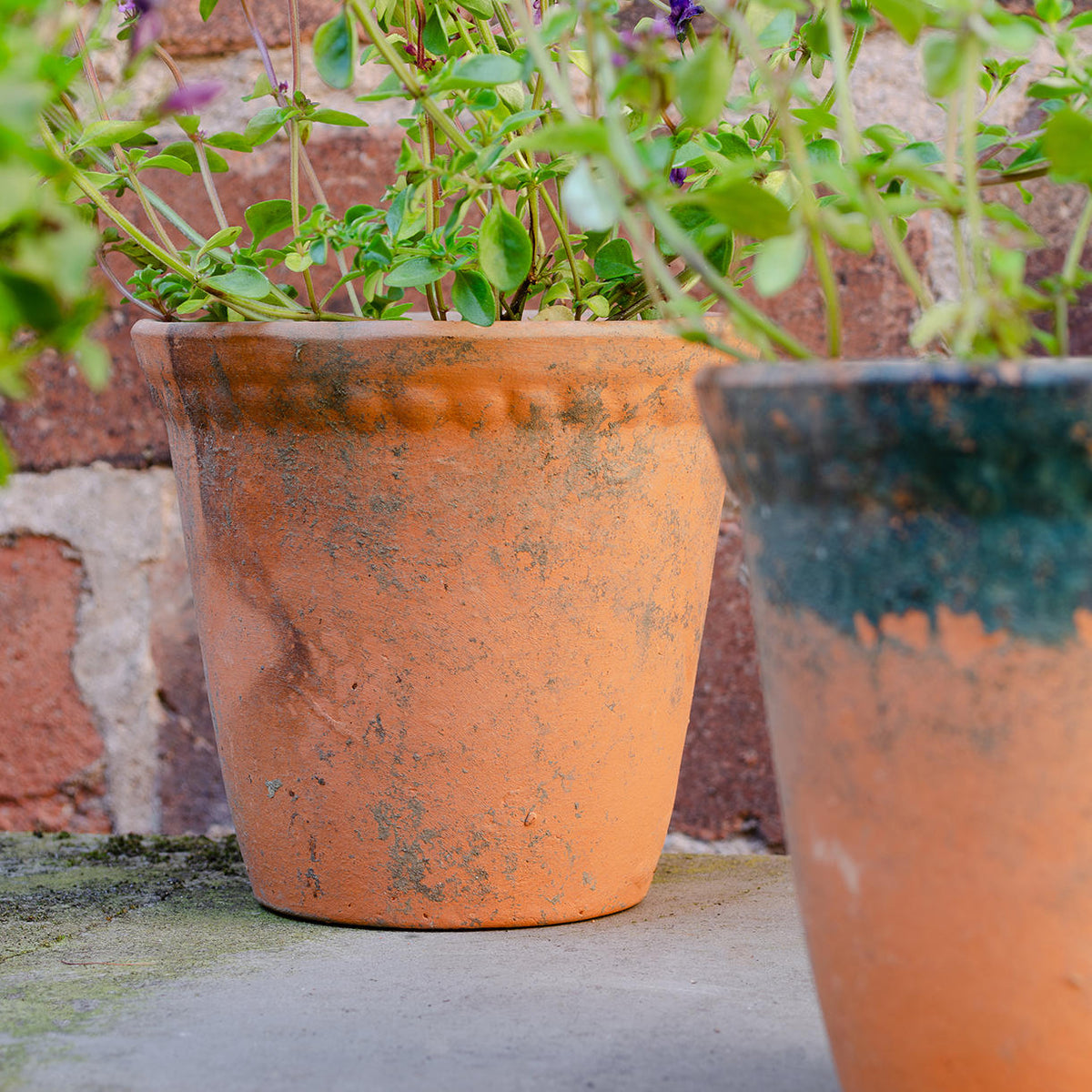 Buy Rustic Aged Lacepot Plant Pot — The Worm that Turned - revitalising ...