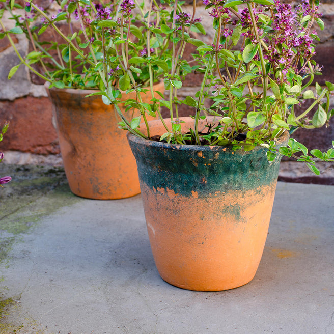 Buy Rustic Aged Lacepot Plant Pot — The Worm that Turned - revitalising ...