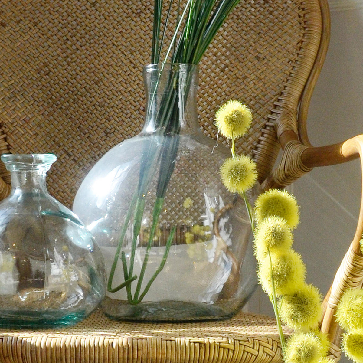 Buy Single Stem Glass Vase — The Worm that Turned - revitalising your ...