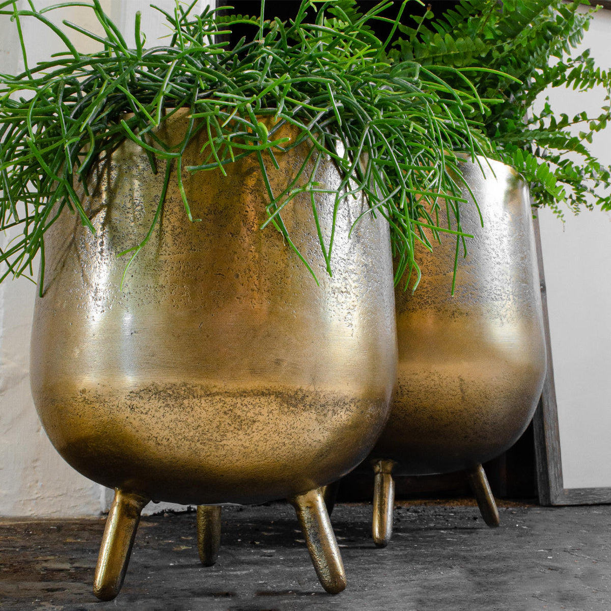 Buy Set of Indian Footed Planters — The Worm that Turned - revitalising ...