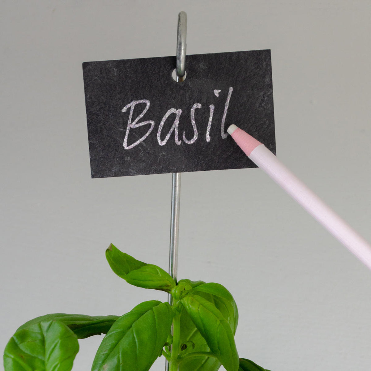 Buy Lost the Plot - Garden Marker Set — The Worm that Turned ...