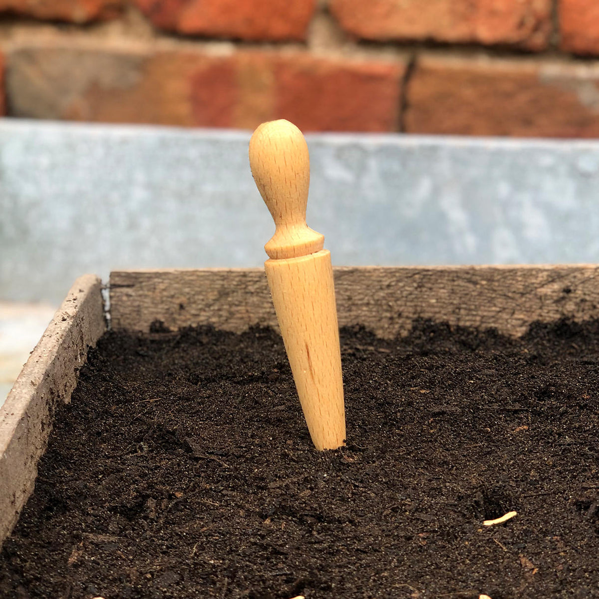 Buy Mini Tapered Seed Dibber — The Worm that Turned - revitalising your ...
