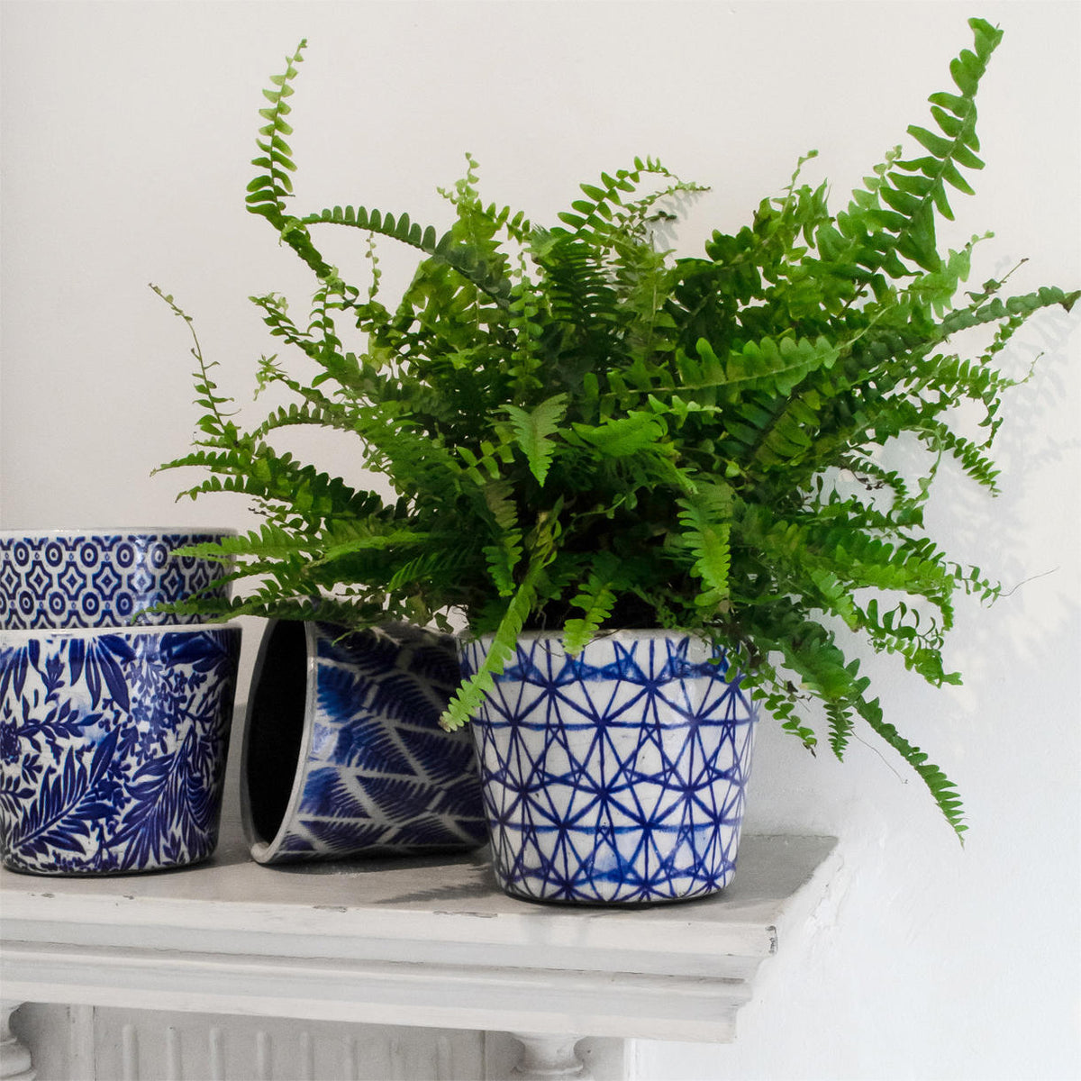Buy Old Delft Styled Glazed Pots — The Worm that Turned - revitalising ...