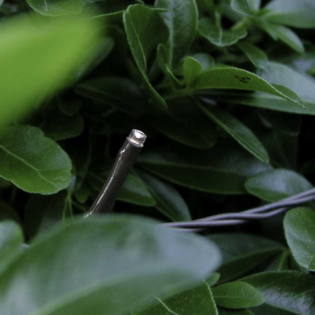 Buy Warm White Outdoor Pin Lights — The Worm that Turned - revitalising ...