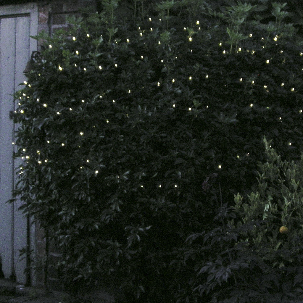 Buy Warm White Outdoor Pin Lights — The Worm that Turned - revitalising ...