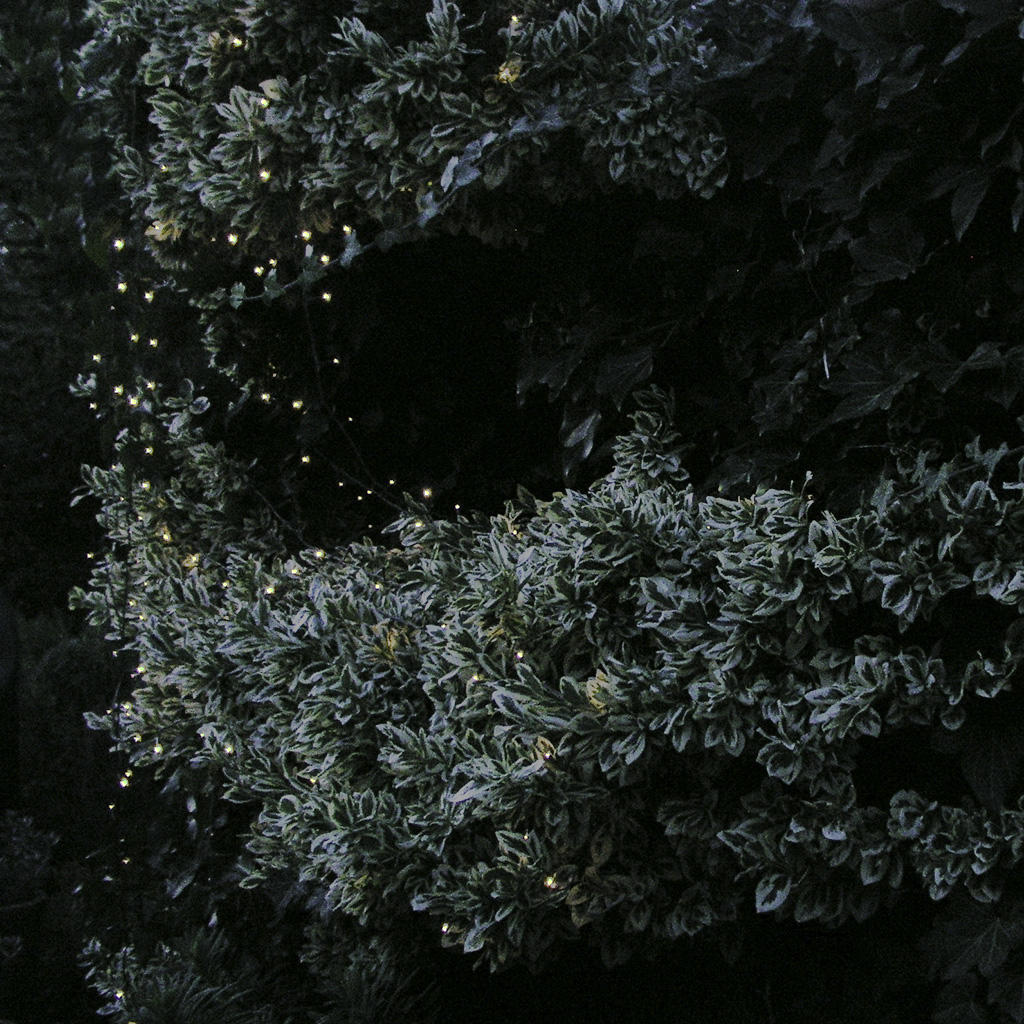 Buy Warm White Outdoor Pin Lights — The Worm that Turned - revitalising ...