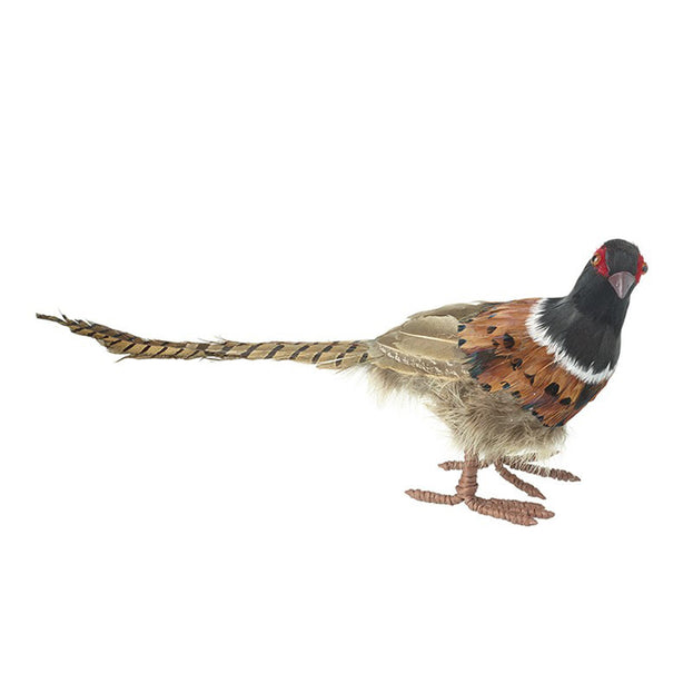 Buy Phileas Pheasant Decoration — The Worm that Turned - revitalising ...