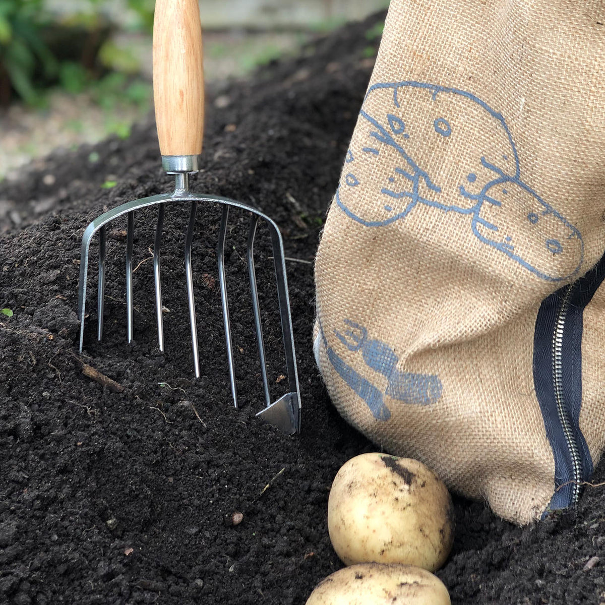 Buy Spud Gift Set — The Worm that Turned - revitalising your outdoor space