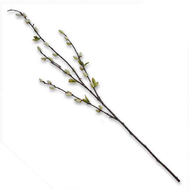 Buy Faux Pussy Willow — The Worm That Turned Revitalising Your 3899