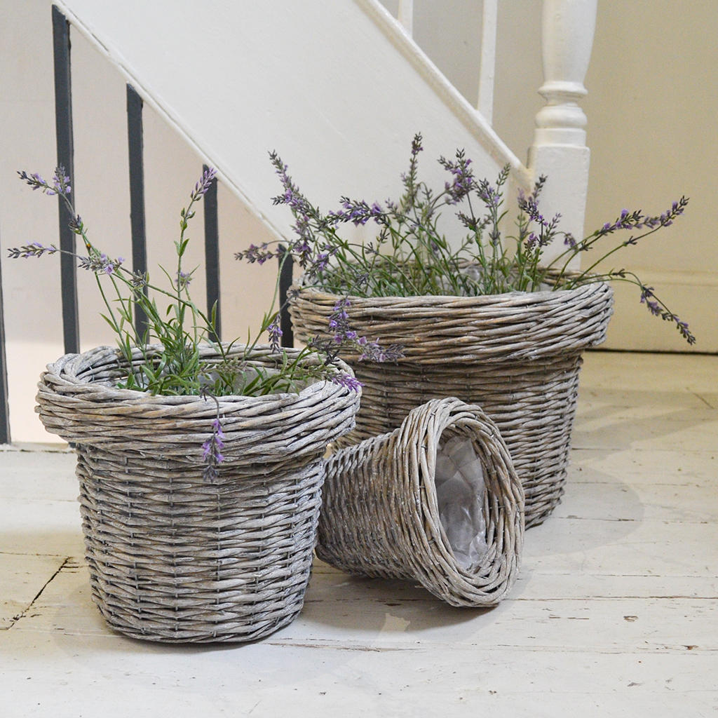 Buy Randwick Willow Planters — The Worm that Turned - revitalising your ...