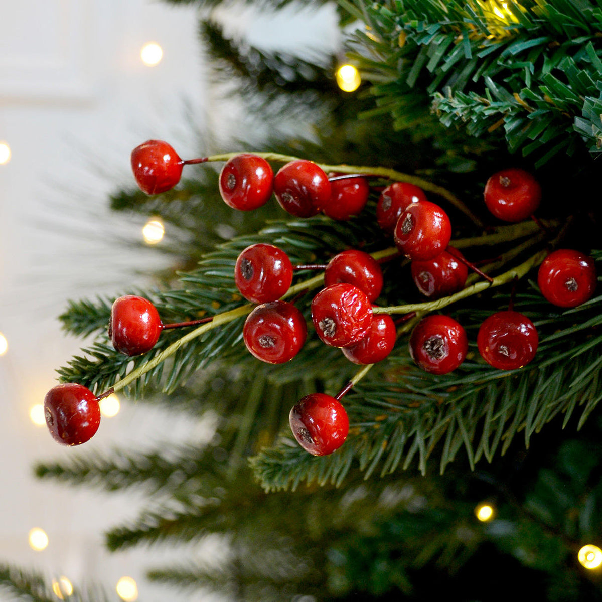 Buy Red Berry Pick — The Worm that Turned - revitalising your outdoor space