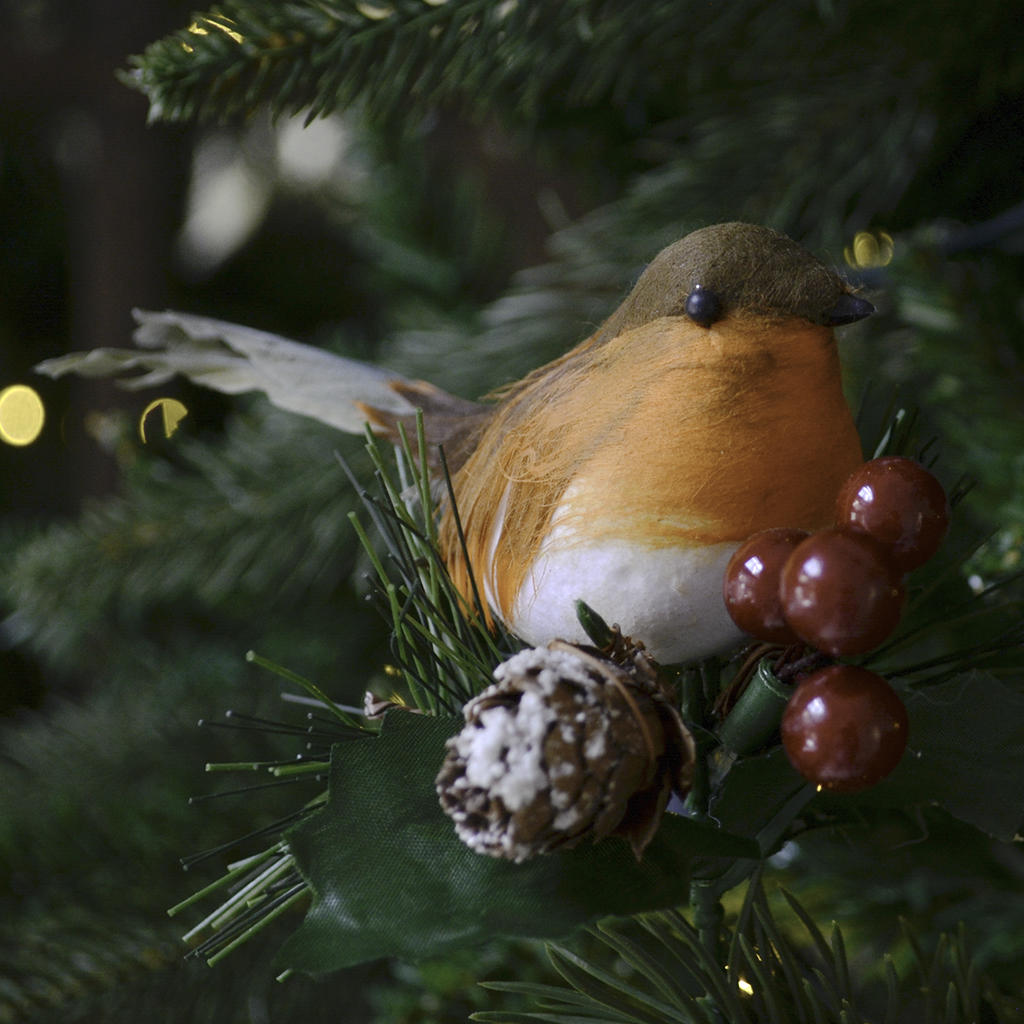 Buy Robin on Stick with Berries — The Worm that Turned - revitalising ...