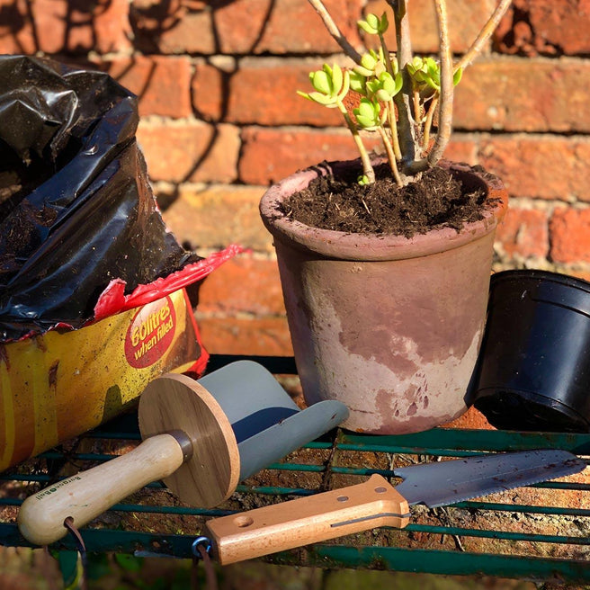 Buy Root and Transplanting Tool — The Worm that Turned - revitalising ...