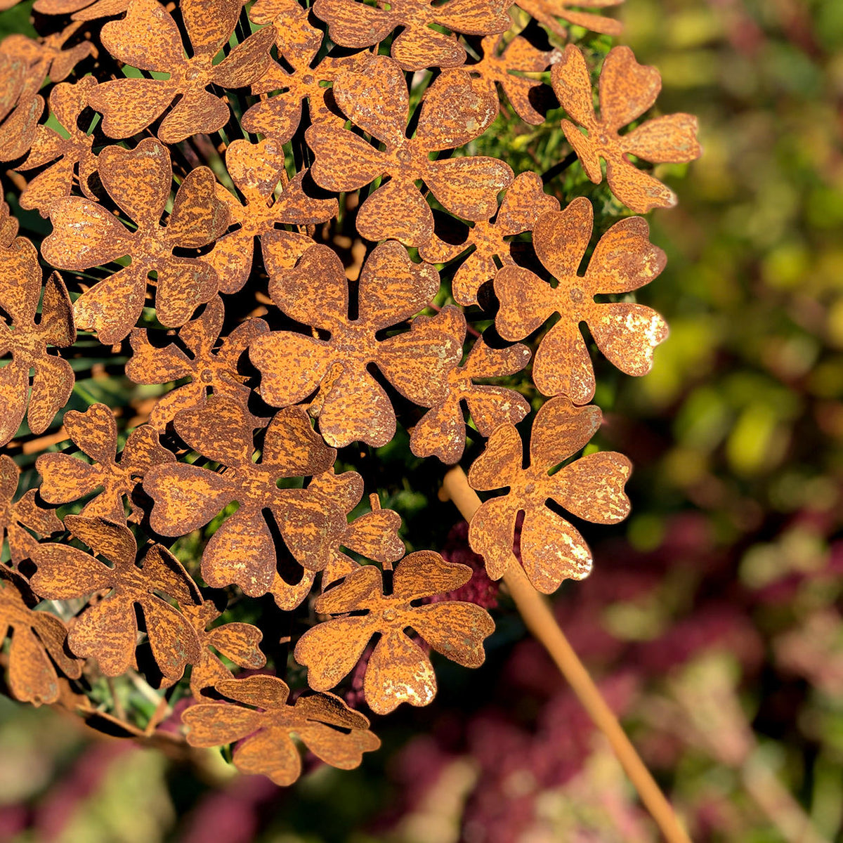 Buy Rusted Hydrangea Flowers — The Worm that Turned - revitalising your ...