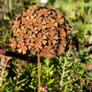 Buy Rusted Hydrangea Flowers — The Worm that Turned - revitalising your ...