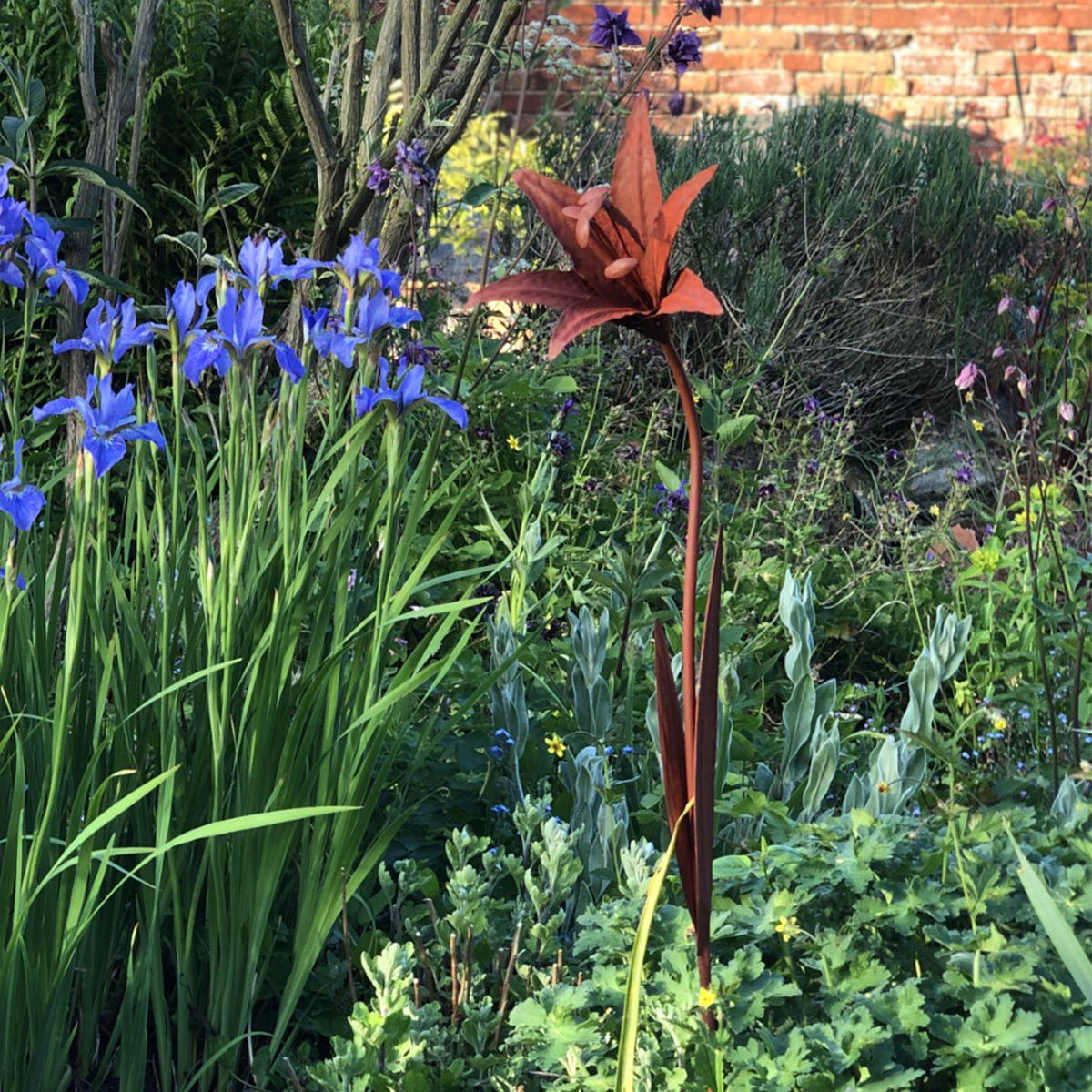 Buy Rusting Metal Day Lily — The Worm that Turned - revitalising your ...