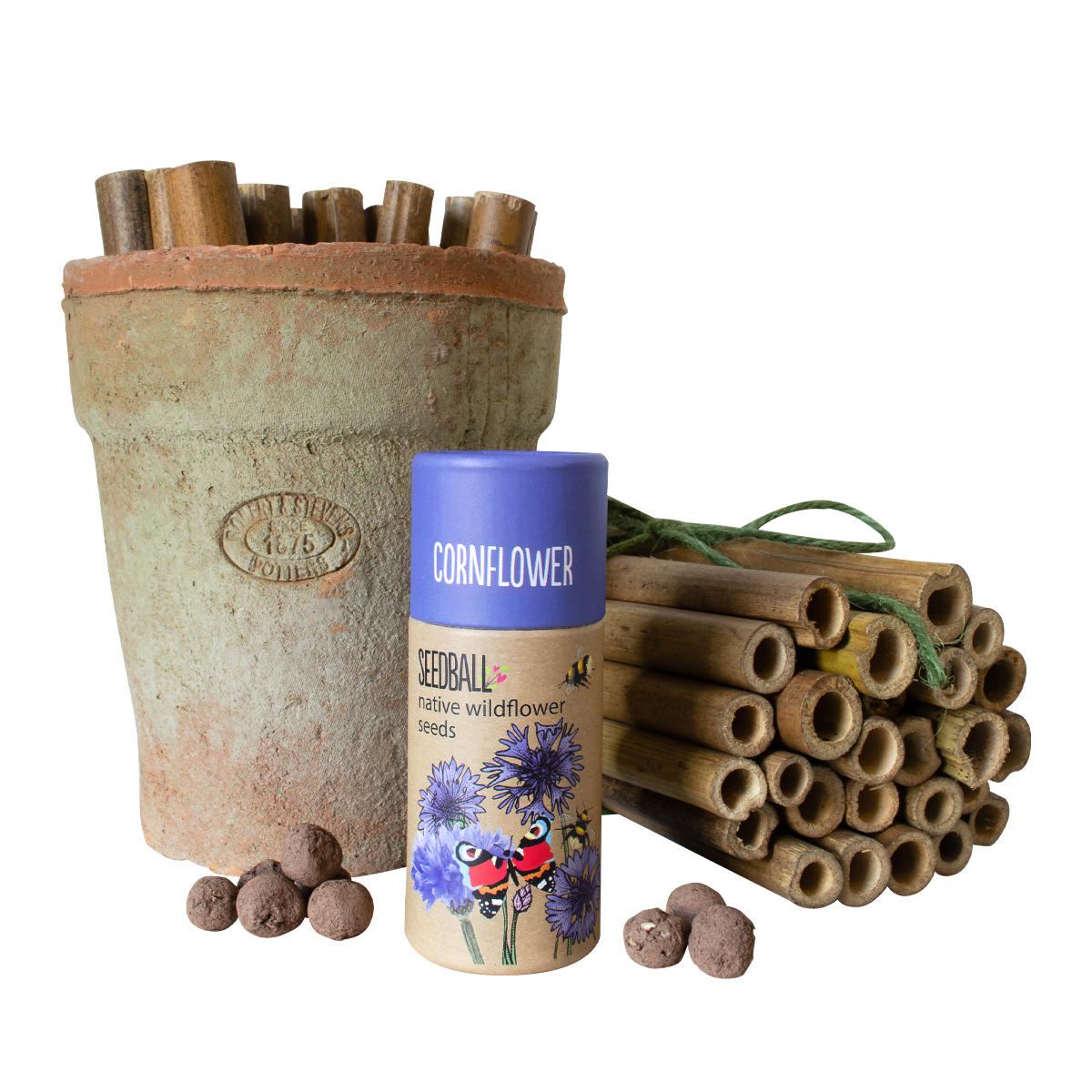 Buy Pollinating Insect Gift Sets — The Worm that Turned - revitalising ...