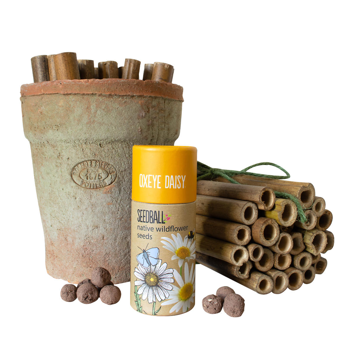 Buy Pollinating Insect Gift Sets — The Worm that Turned - revitalising ...