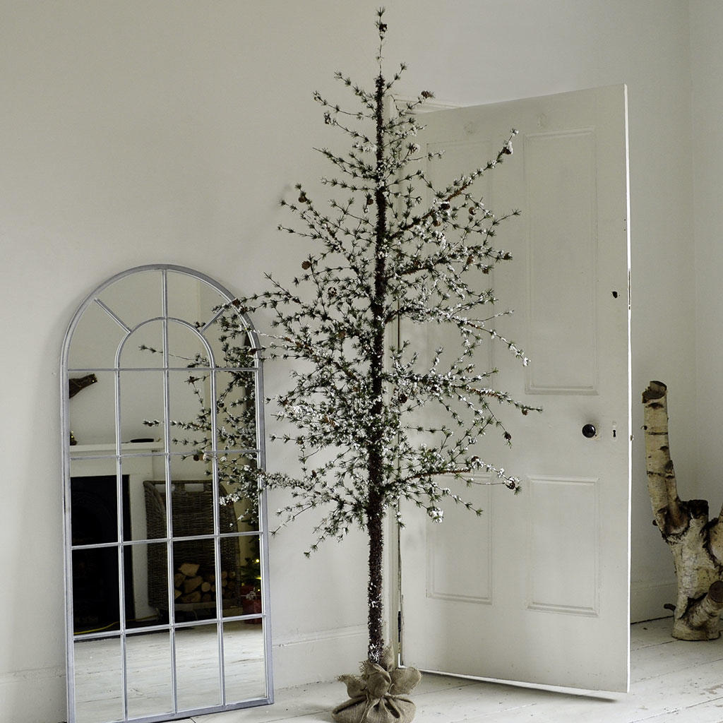 Buy Snowy Spruce Tree with Cones — The Worm that Turned - revitalising ...