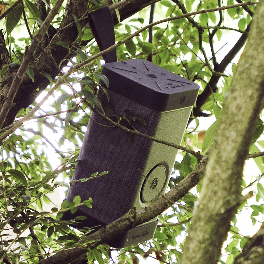 Buy Soundscene 3 Wireless Outdoor Sound System — The Worm that Turned ...