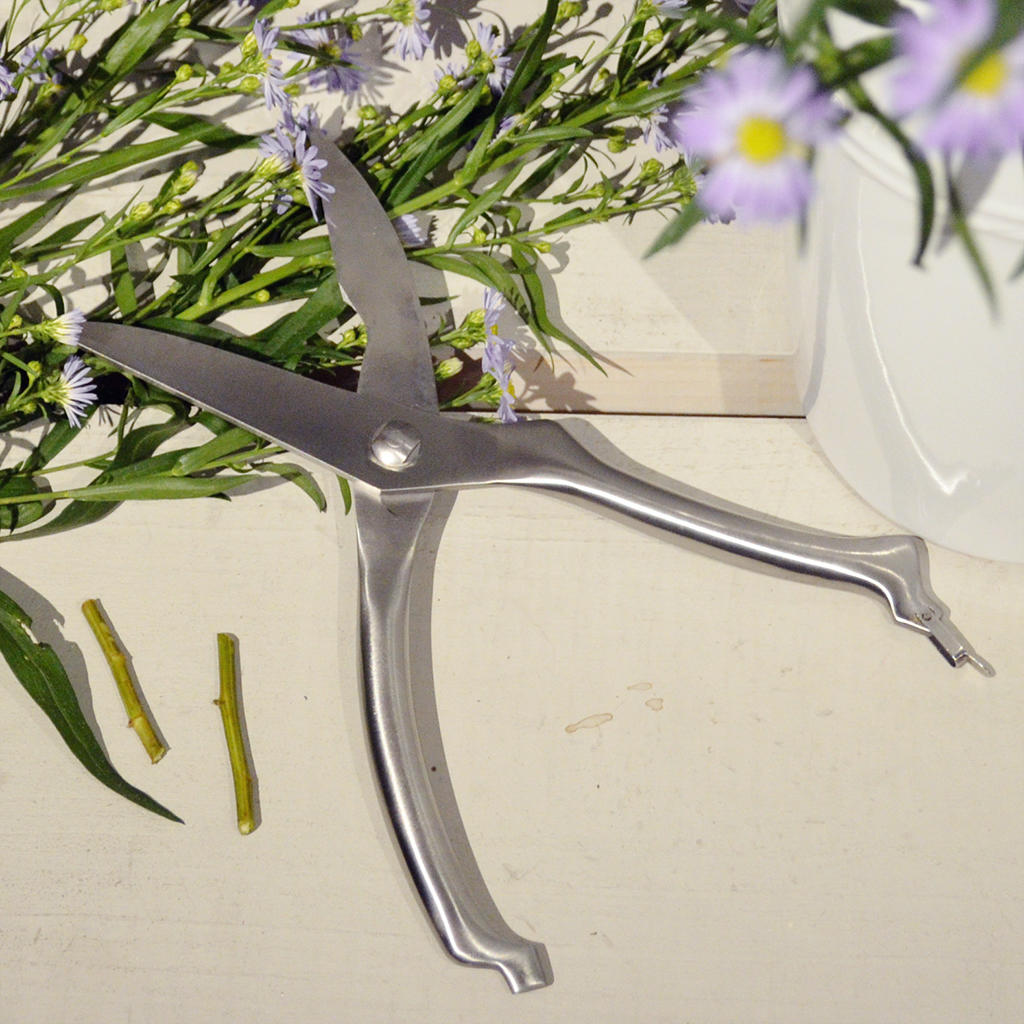 Buy Stainless Steel Flower Scissors — The Worm that Turned ...
