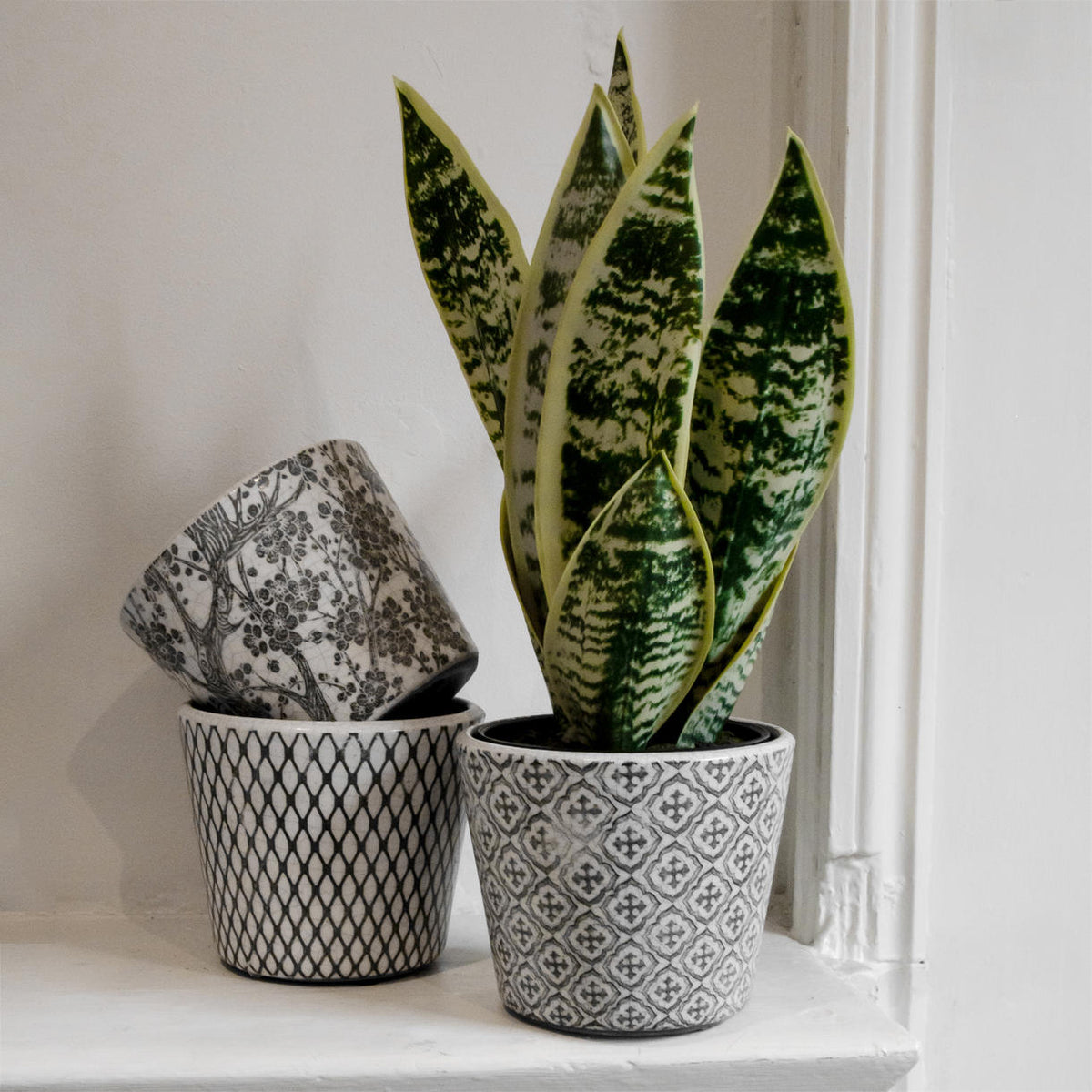 Buy Vintage Patterned Plant Pots — The Worm that Turned - revitalising ...