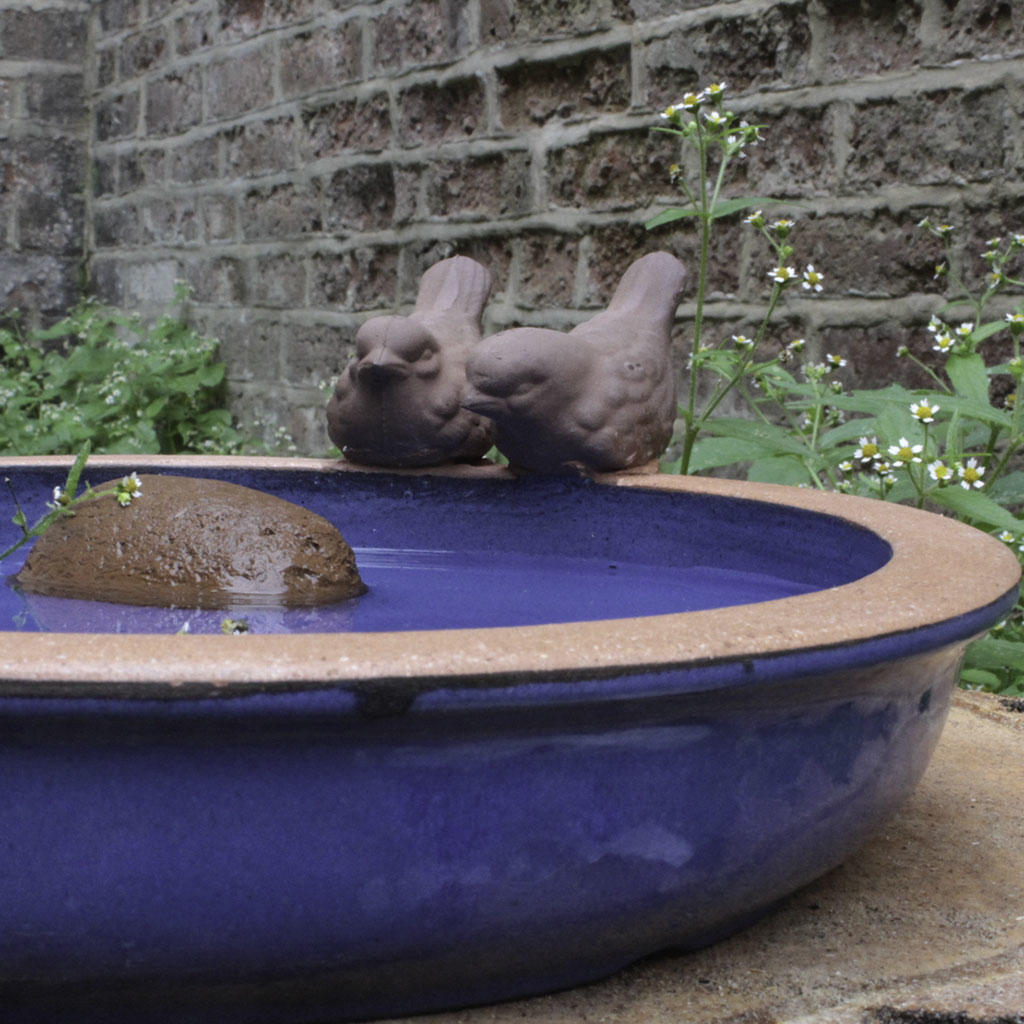 Buy Blue Dipper Bird Bath — The Worm that Turned - revitalising your ...