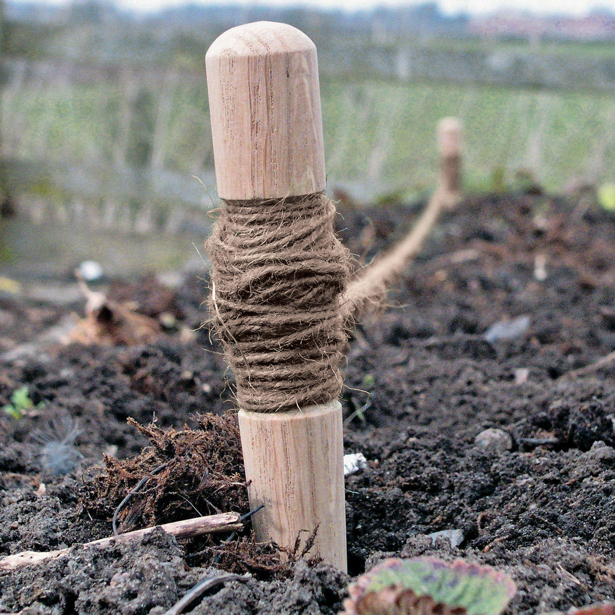 Buy Gardeners Line — The Worm that Turned - revitalising your outdoor space