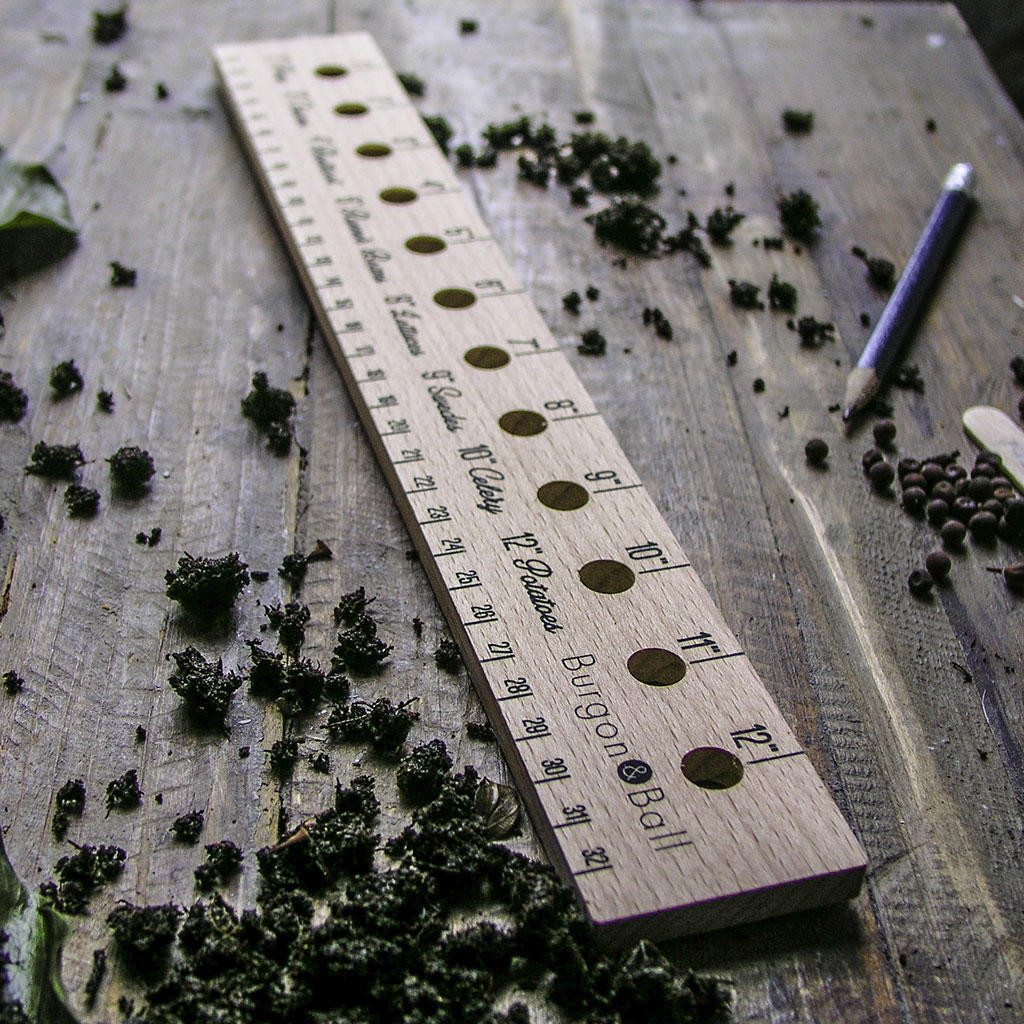 Buy Small Seed Planting Ruler — The Worm that Turned - revitalising ...