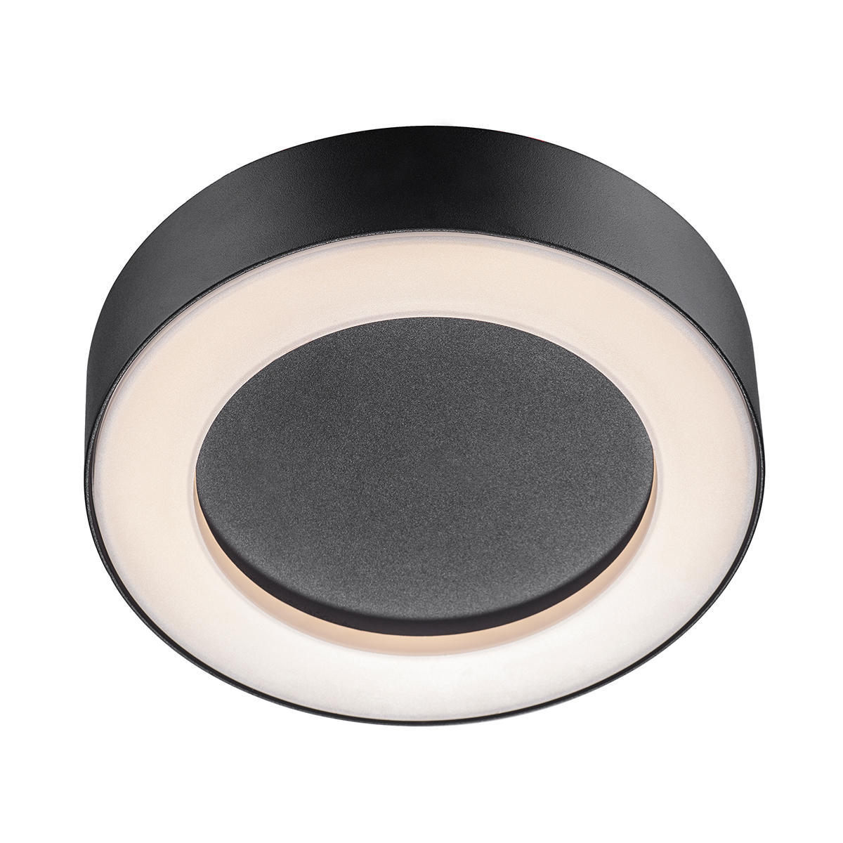 Buy Teton Outdoor Round Wall/Ceiling Light — The Worm that Turned ...