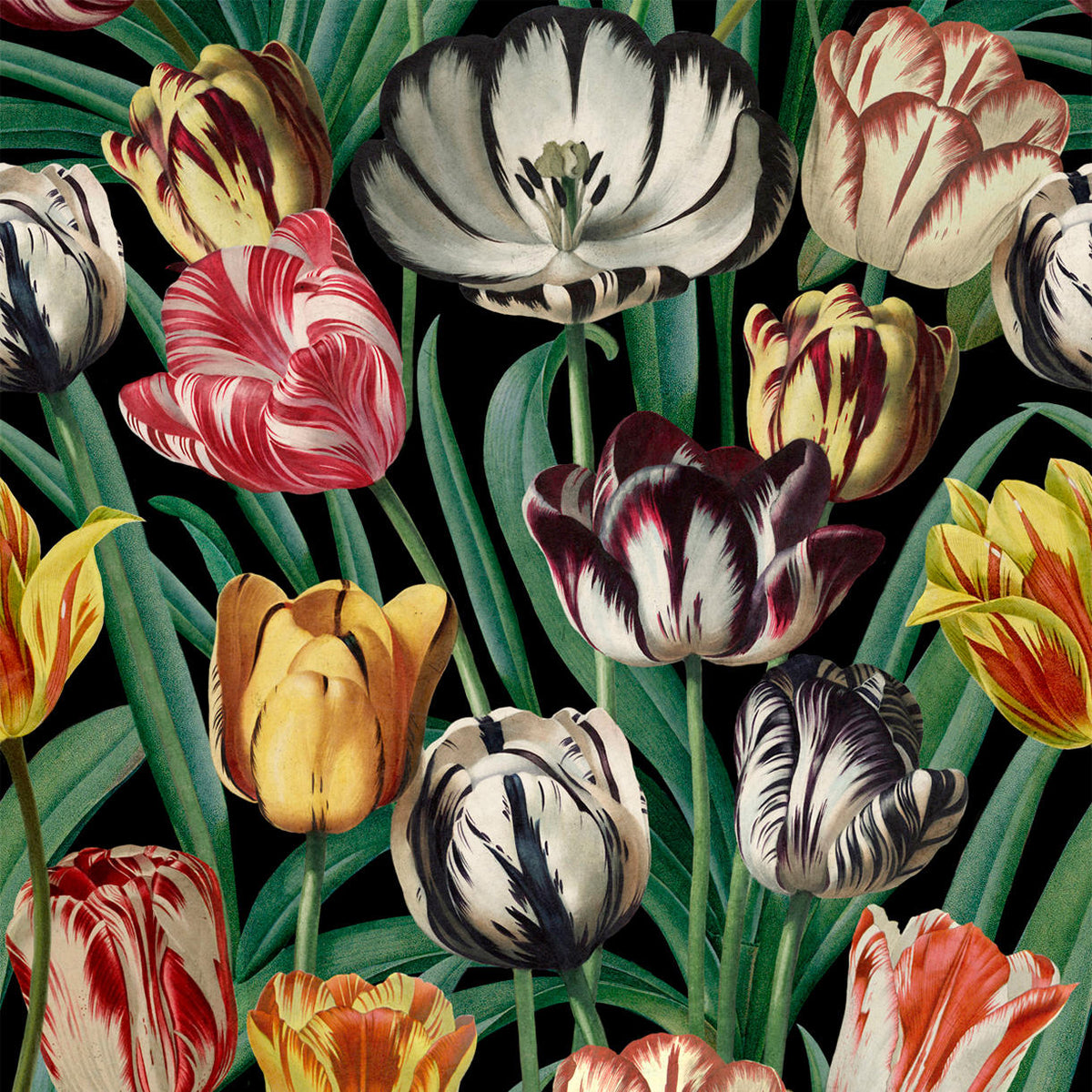 Buy Tulips Feature Wallcovering — The Worm that Turned - revitalising ...