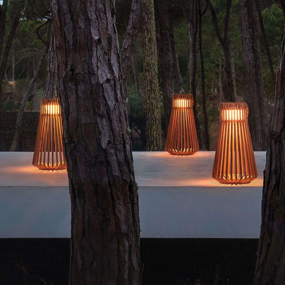 Buy Ray Teak LED Lantern — The Worm that Turned - revitalising your ...