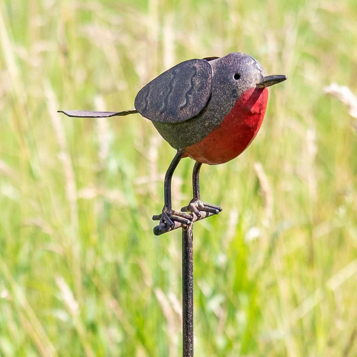 Buy Tin Robin on Stake — The Worm that Turned - revitalising your ...