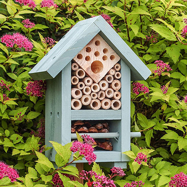 Buy Bee and Bug Biome — The Worm that Turned - revitalising your ...