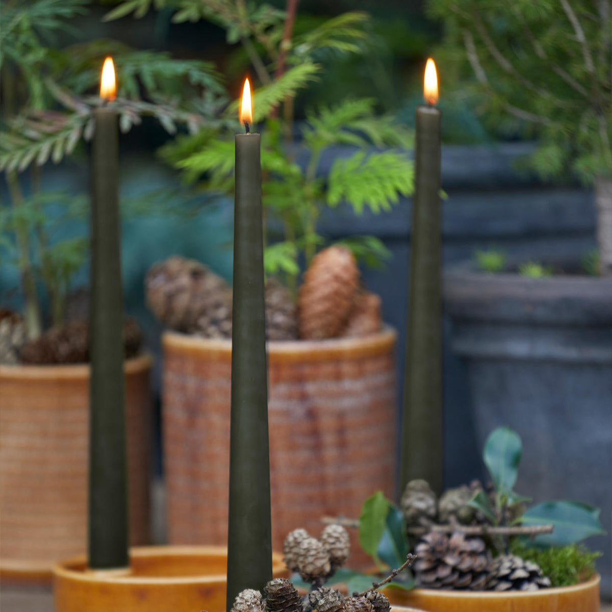 Buy Tapered Dinner Candles — The Worm that Turned - revitalising your ...