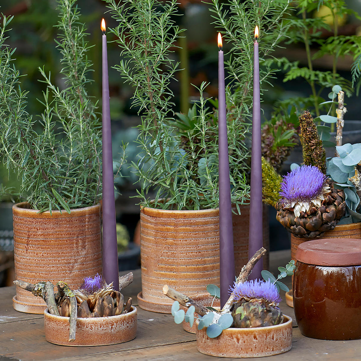 Buy Tapered Dinner Candles — The Worm that Turned - revitalising your ...