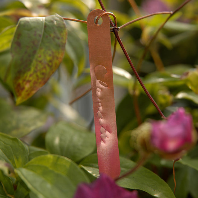 Buy Copper Plant Tags — The Worm that Turned - revitalising your ...