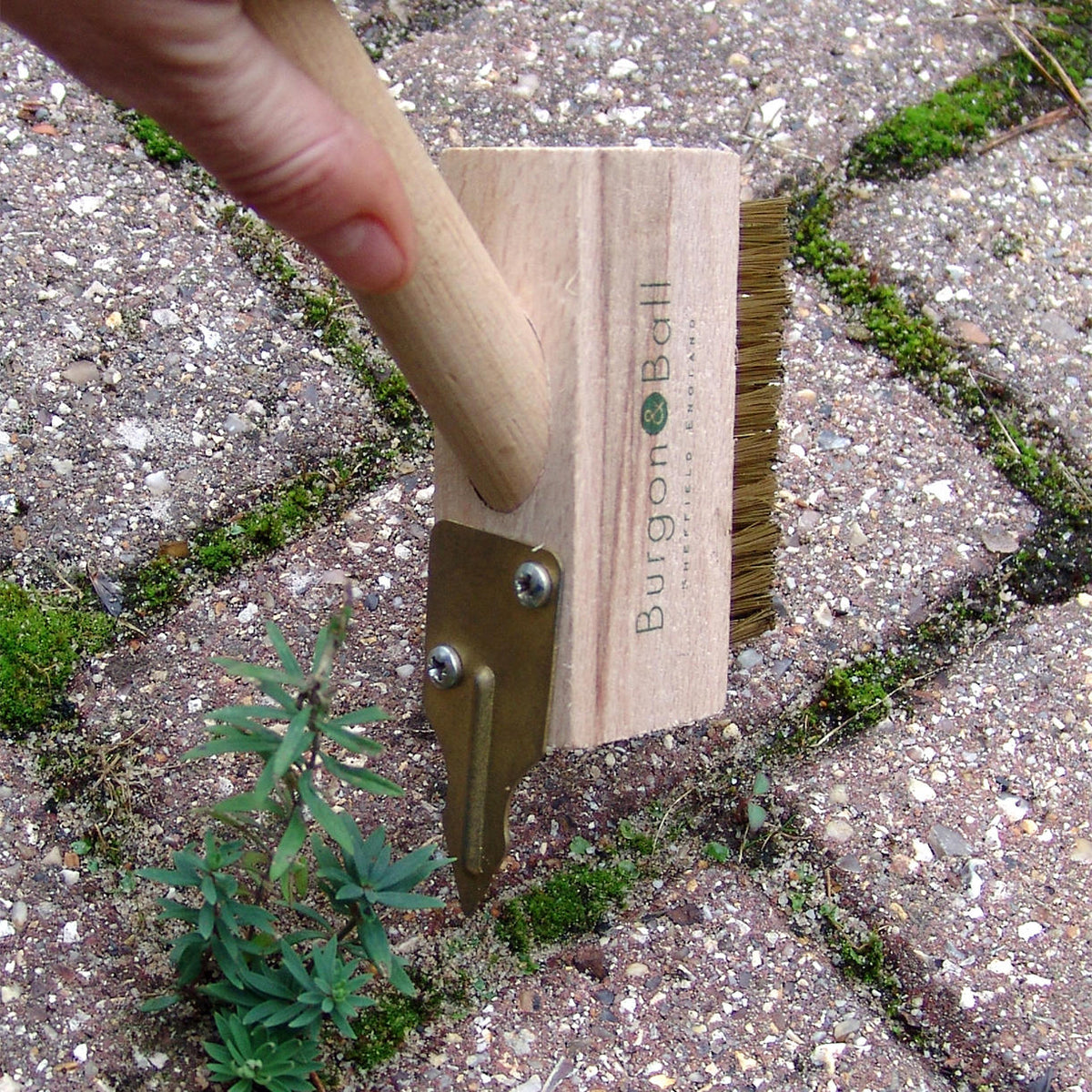 Buy Miracle Block Paving Brush and Weeder — The Worm that Turned ...