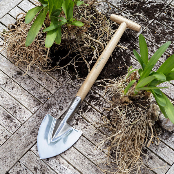 Buy Perennial Spade — The Worm that Turned - revitalising your outdoor ...
