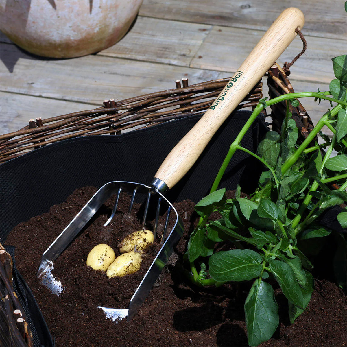 Buy Potato Harvesting Scoop — The Worm that Turned - revitalising your ...