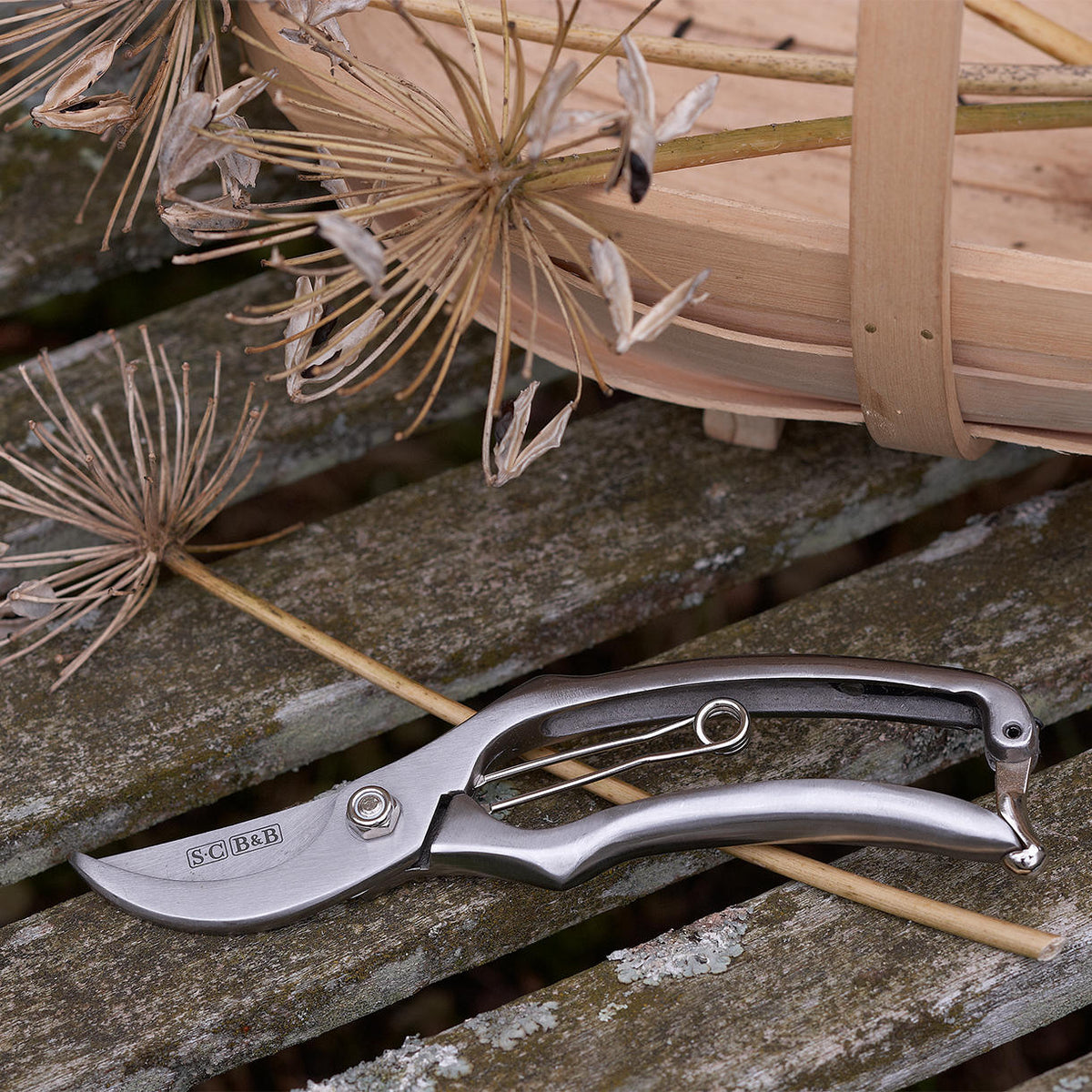 Buy Sophie Conran Secateurs — The Worm that Turned - revitalising your ...