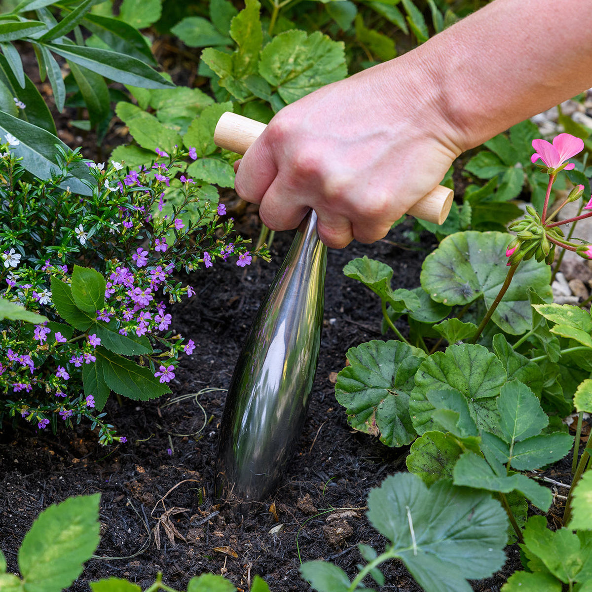 Buy Stainless Steel Dibber — The Worm that Turned - revitalising your ...