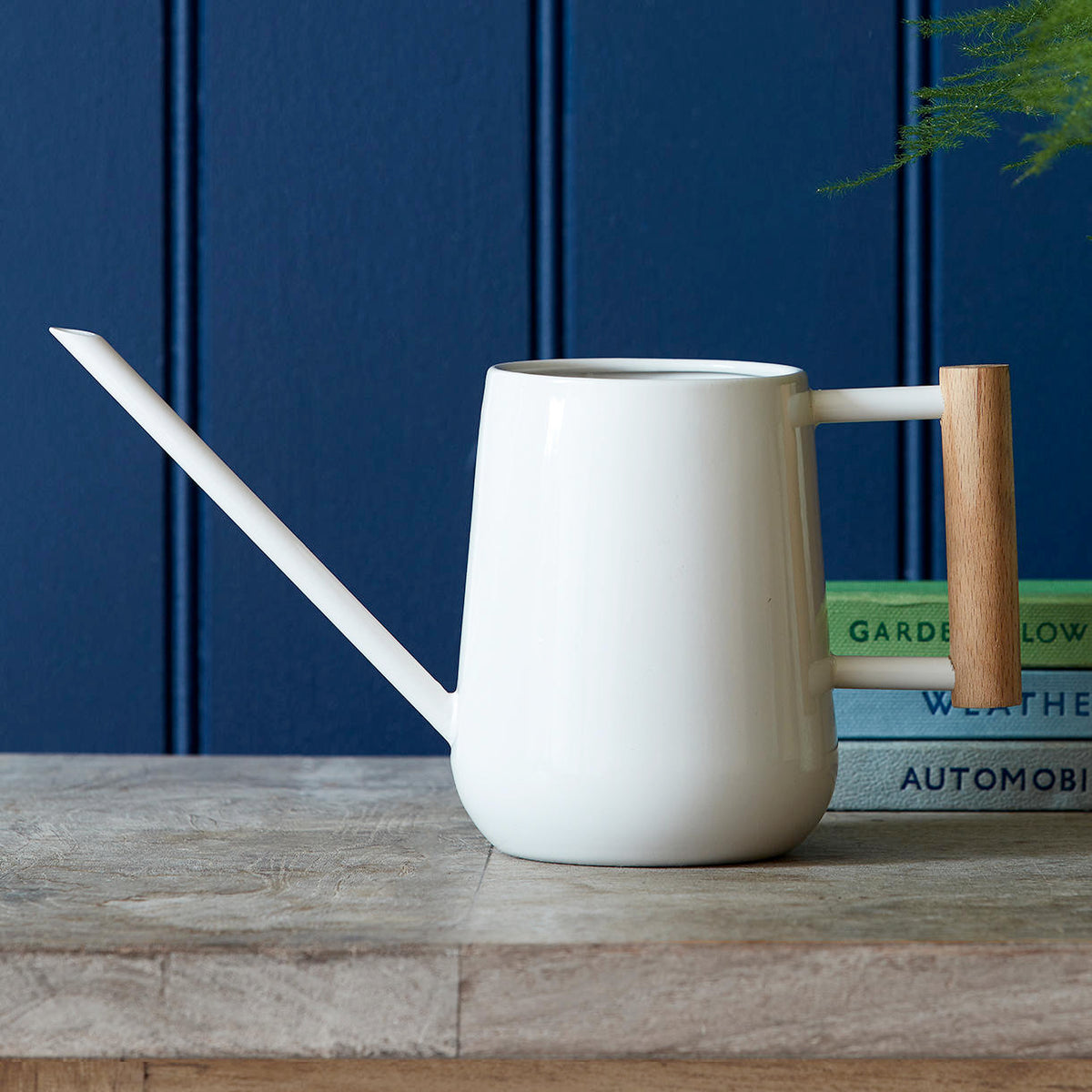 Buy Indoor Urban Beech Handle Watering Can — The Worm that Turned ...