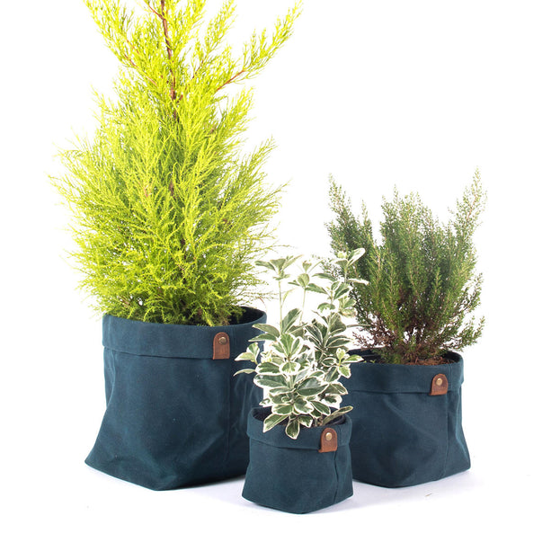 Buy Waxed Canvas Cache Pot — The Worm that Turned - revitalising your ...