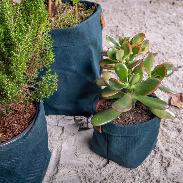 Buy Waxed Canvas Cache Pot — The Worm that Turned - revitalising your ...