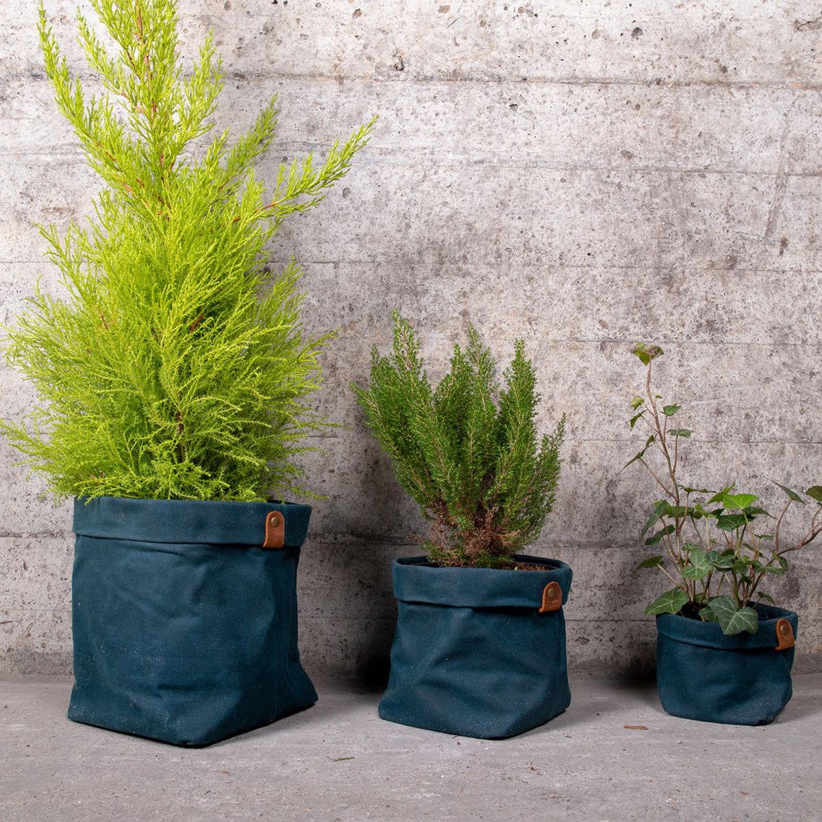 Buy Waxed Canvas Cache Pot — The Worm that Turned - revitalising your ...