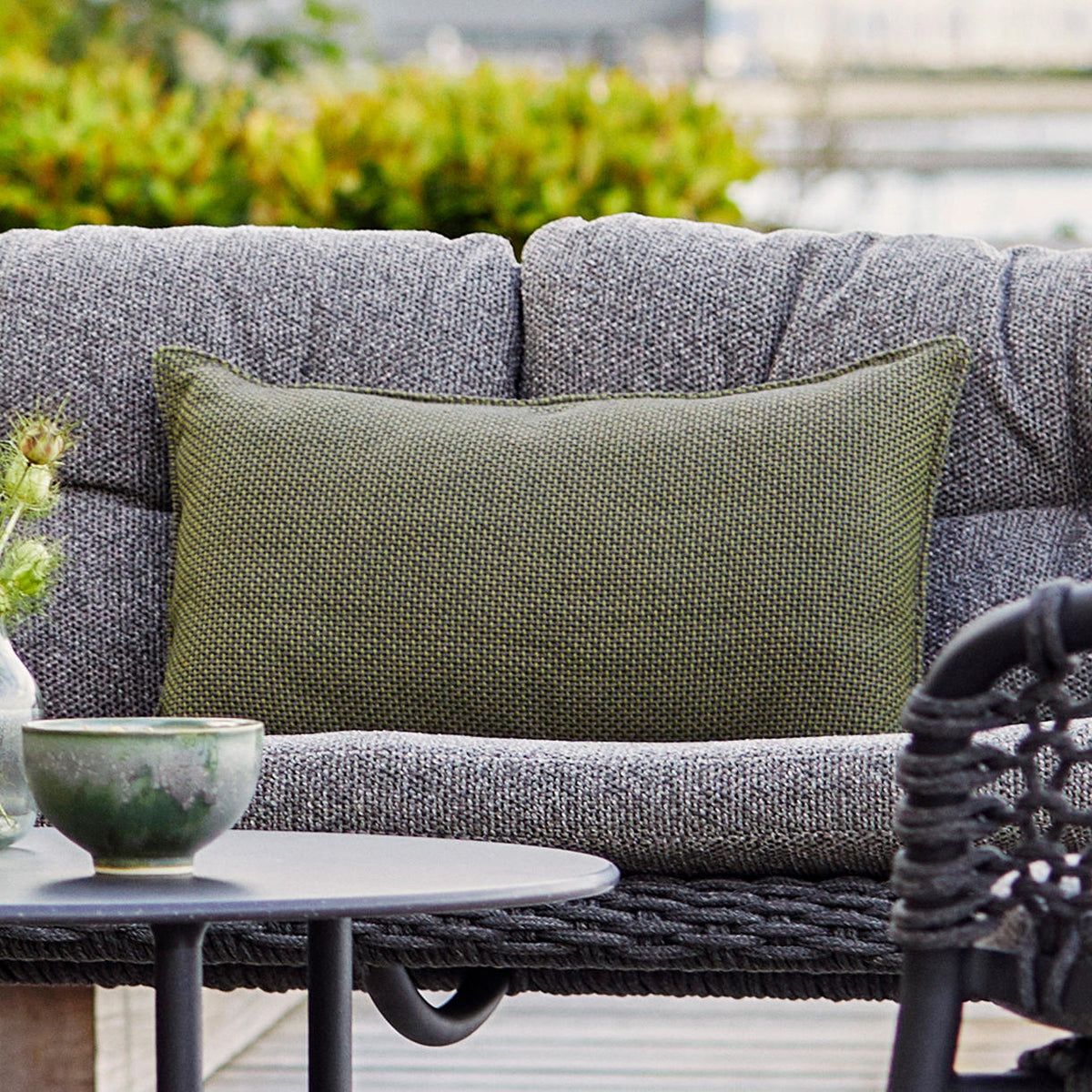 Buy Focus Rectangular Scatter Cushions — The Worm that Turned ...
