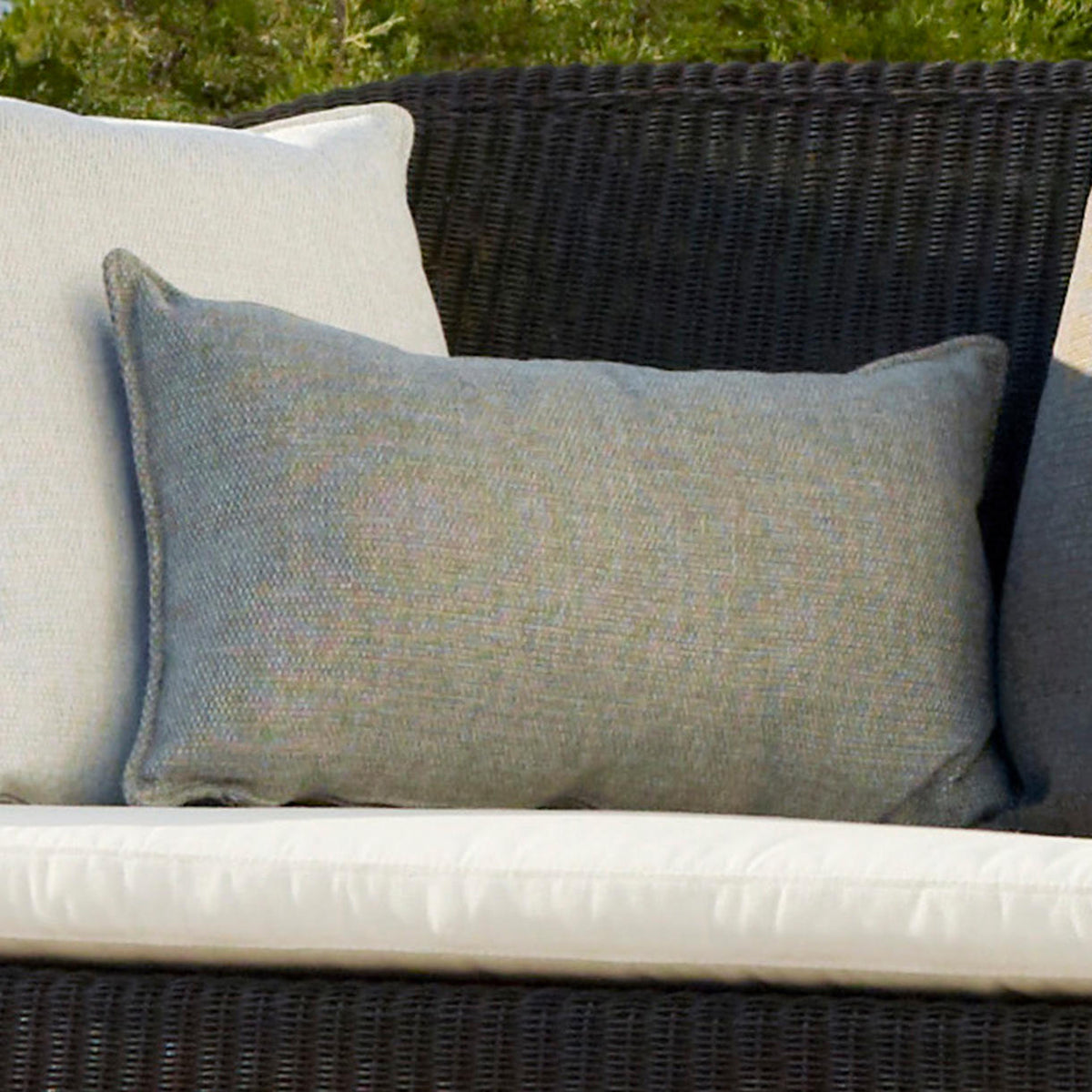 Buy Focus Rectangular Scatter Cushions — The Worm that Turned ...