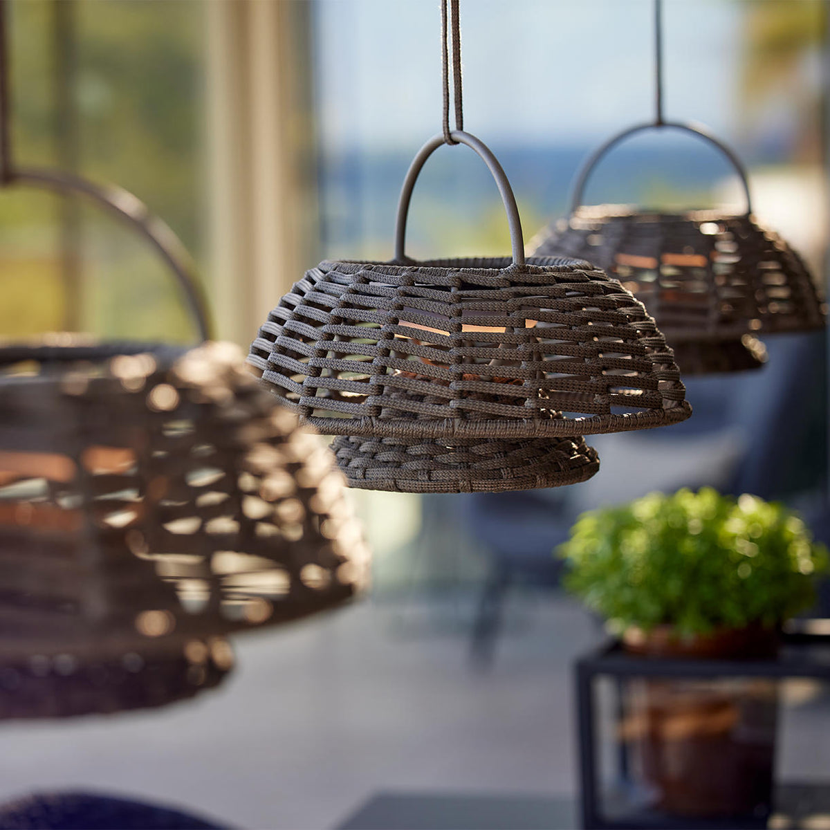 Buy Illusion Outdoor LED Hanging Lantern — The Worm that Turned ...