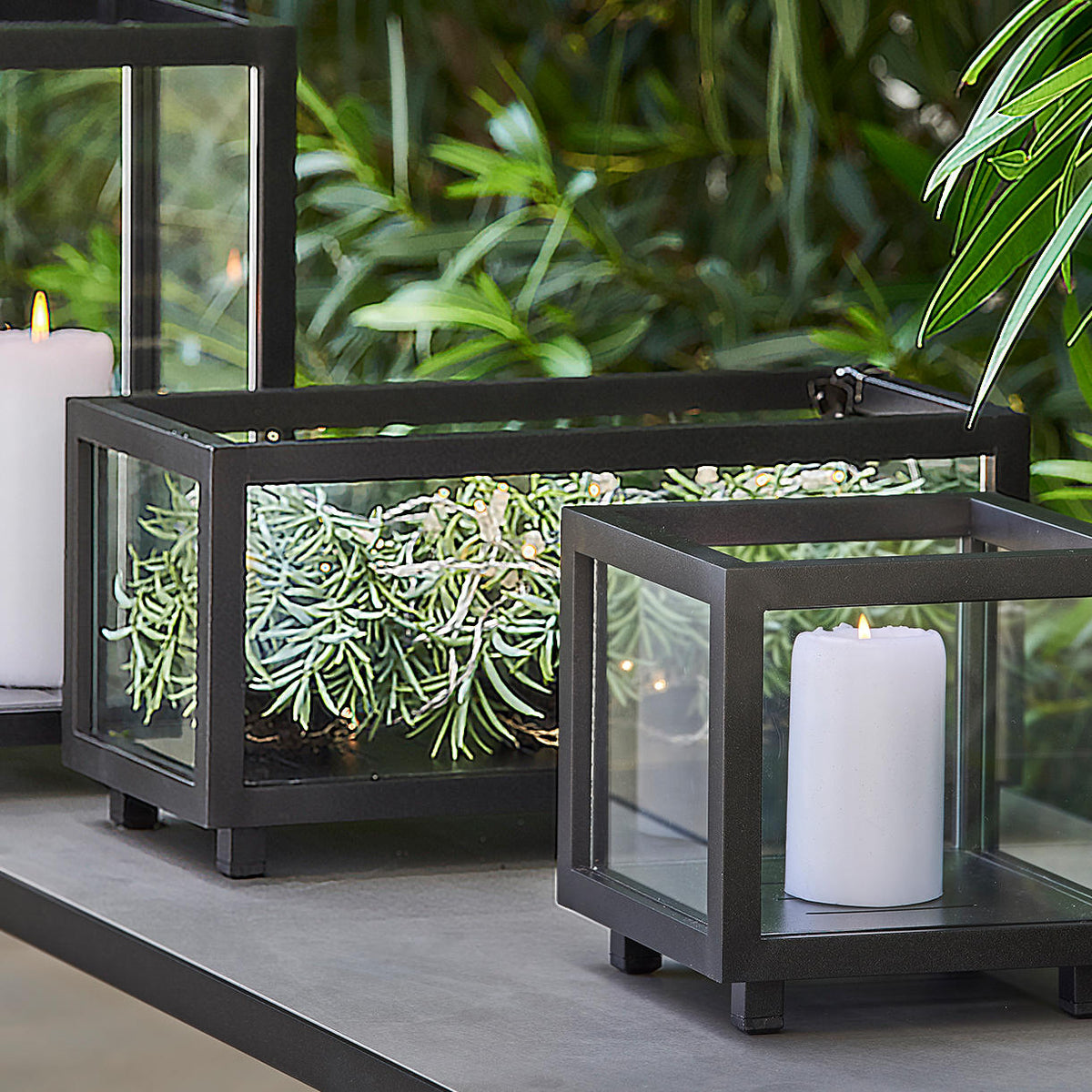 Buy Lightbox Rectangular Lantern — The Worm that Turned - revitalising ...